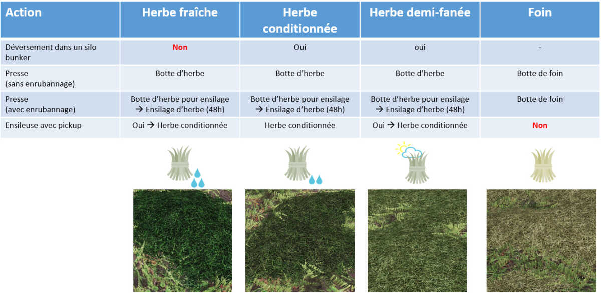 MaizePlus: Our guide to better understand this mod back in Farming ...