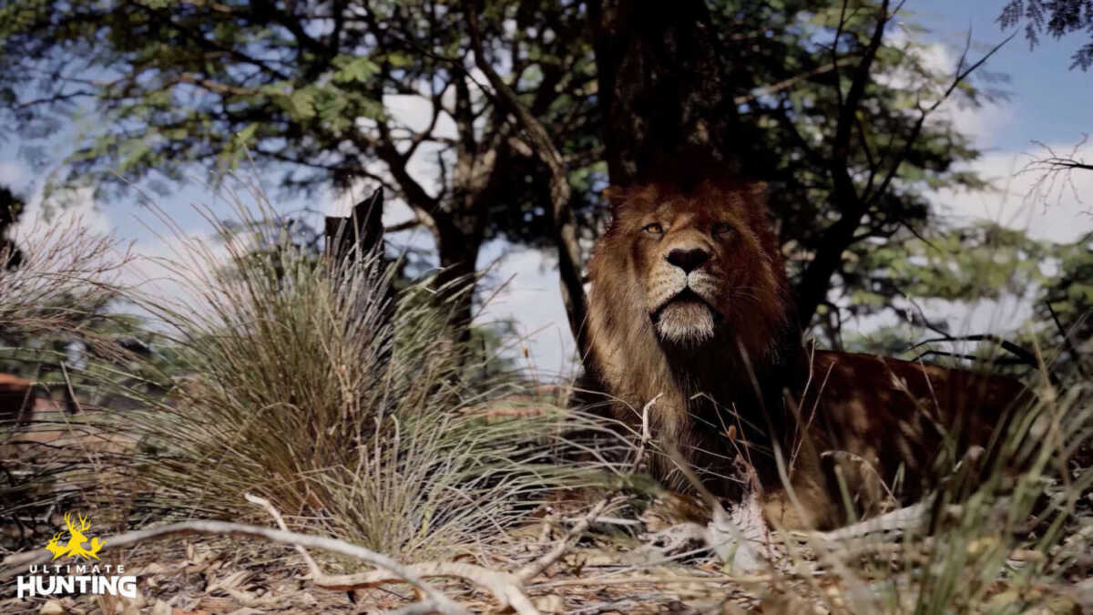 Ultimate Hunting: new realistic and immersive hunting simulation