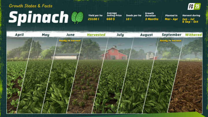 Farming Simulator 25: Growing spinach explained