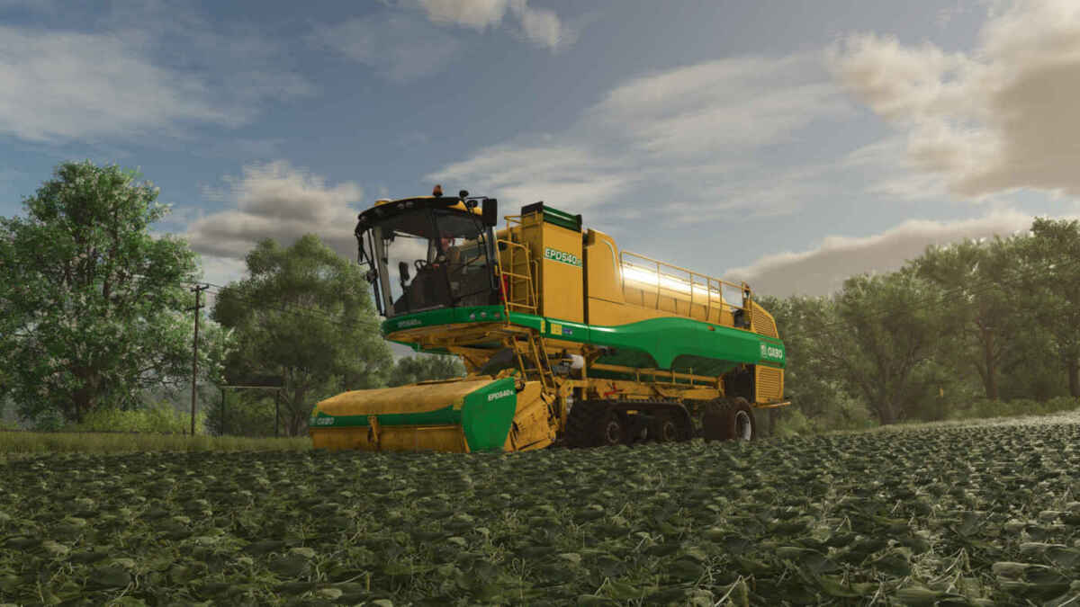 Peas in Farming Simulator 25: What you need to know