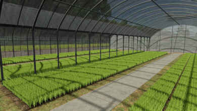 Complete Guide: Rice Cultivation on Farming Simulator 25