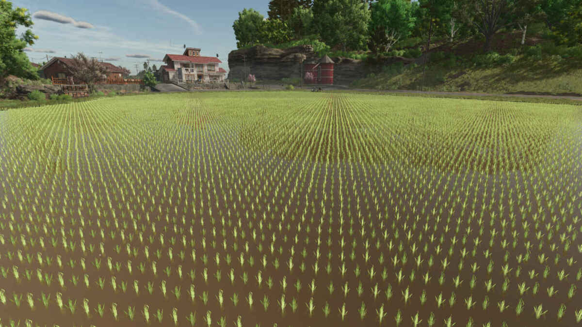 Complete Guide: Rice Cultivation on Farming Simulator 25