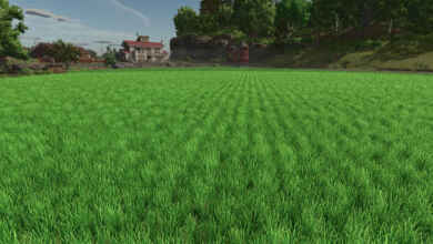 Complete Guide: Rice Cultivation on Farming Simulator 25