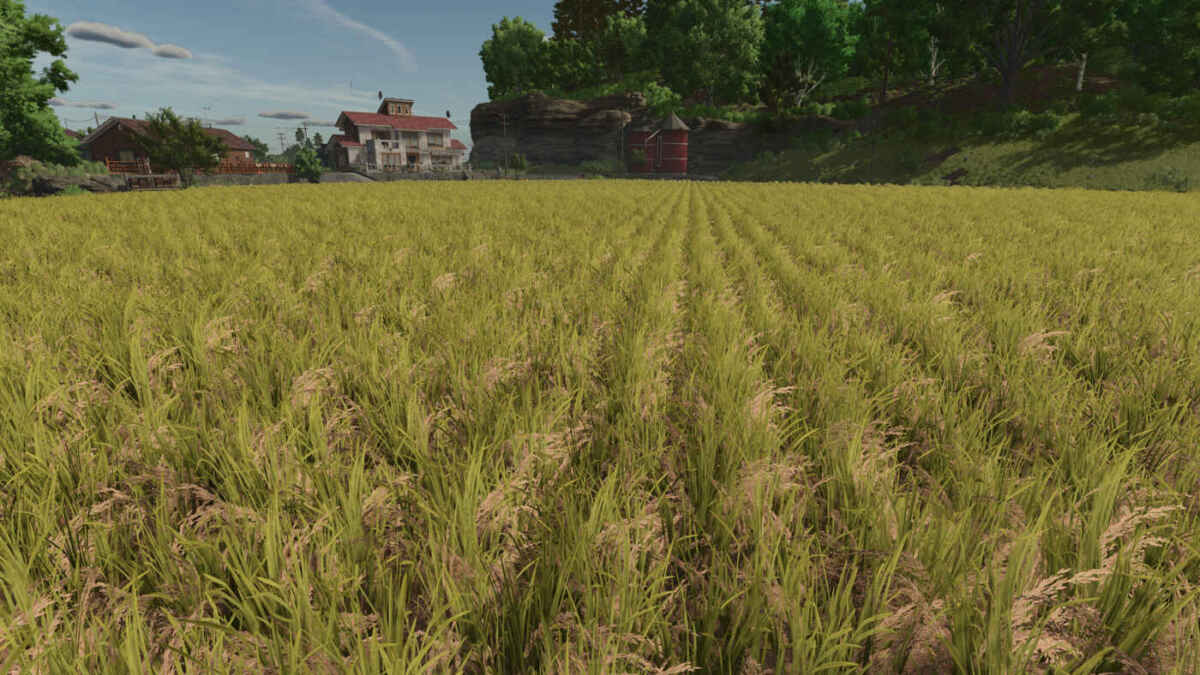 Complete Guide: Rice Cultivation on Farming Simulator 25