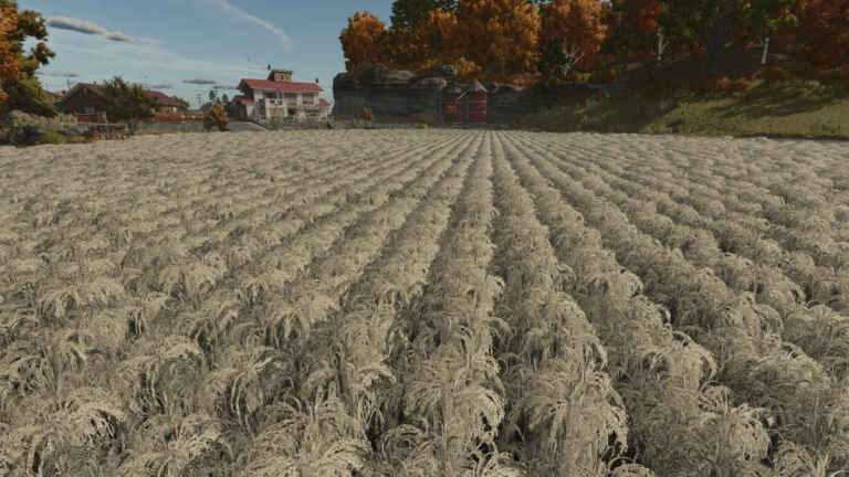 Complete Guide: Rice Cultivation on Farming Simulator 25
