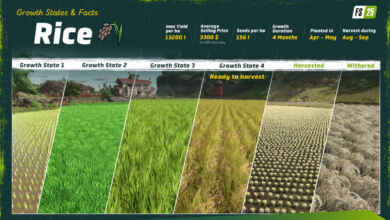 Complete Guide: Rice Cultivation on Farming Simulator 25