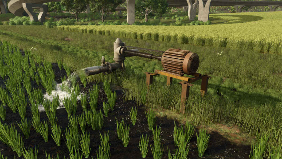 Complete Guide: Rice Cultivation on Farming Simulator 25