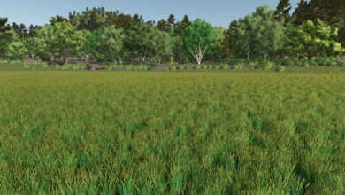 Complete Guide: Rice Cultivation on Farming Simulator 25