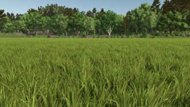 Complete Guide: Rice Cultivation on Farming Simulator 25