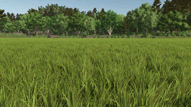 Complete Guide: Rice Cultivation on Farming Simulator 25