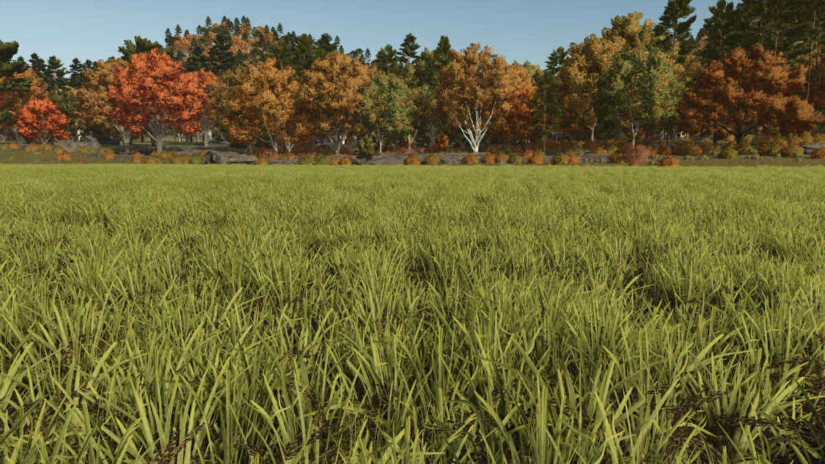 Complete Guide: Rice Cultivation on Farming Simulator 25