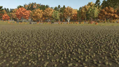 Complete Guide: Rice Cultivation on Farming Simulator 25