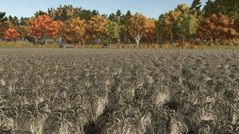 Complete Guide: Rice Cultivation on Farming Simulator 25